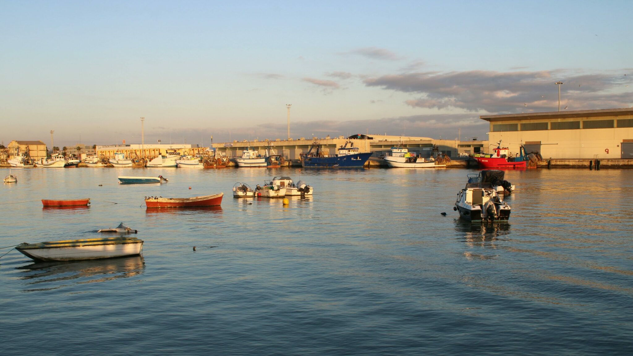 BridgeAI - Hartree Centre