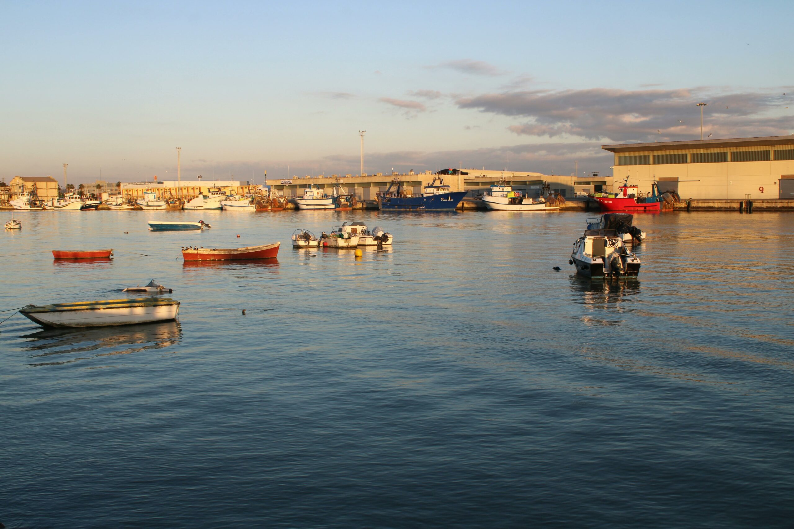 Case Studies - Hartree Centre